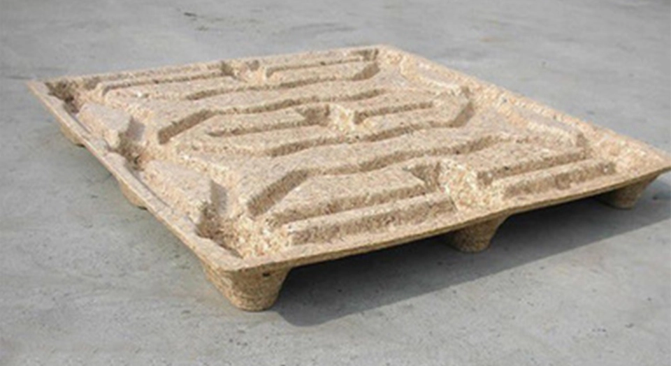 Plant fiber molded pallet production equipment - Anhui Guowang Eco ...